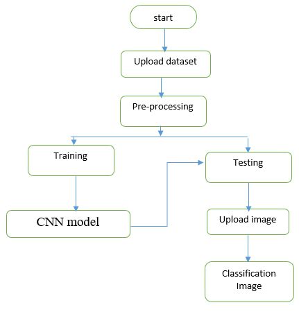 Brain Stroke Detection Using CT Or MRI Scan