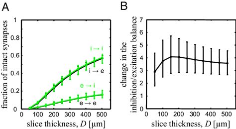 Fractions Of Intact Synapses In A Cortical Tissue Section A Download Scientific Diagram