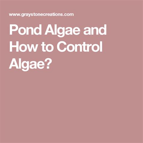 Pond Algae And How To Control Algae