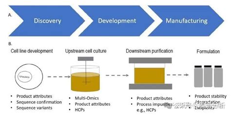 文献整理 质谱定量（一） 知乎