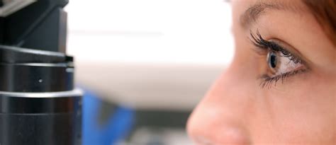 Guidance On Sexual Boundaries ABDO