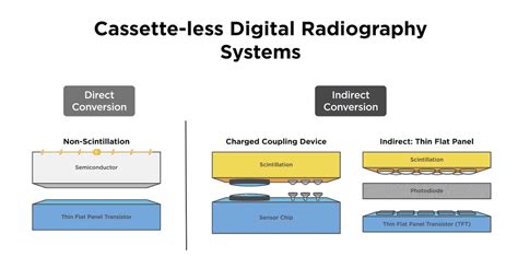 Indirect Vs Direct Dr Diagram Quizlet