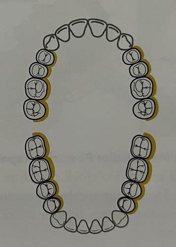 Module 2 Flashcards Quizlet Module 2 Flashcards Quizlet