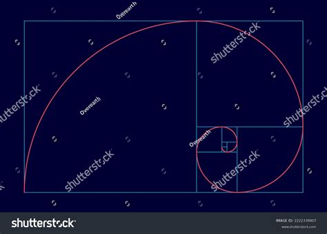 Golden Ratio Vector Spiral Shape Fibonacci Stock Vector Royalty Free