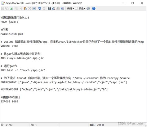 Java——linux使用docker部署若依前后端分离版【保姆级教程】若依 Docker部署 Csdn博客