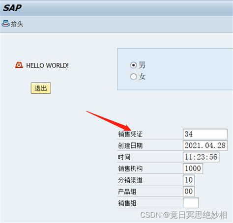 Abap屏幕设计dialogabap Dialog Csdn博客