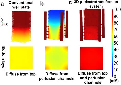 Comsol Simulations Of Medium Diffusion A Diffusion From Top Medium To