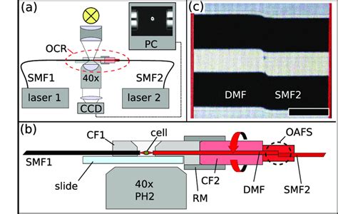 Schematic Of The Ocr Setup A The Ocr Is Mounted On An Inverted