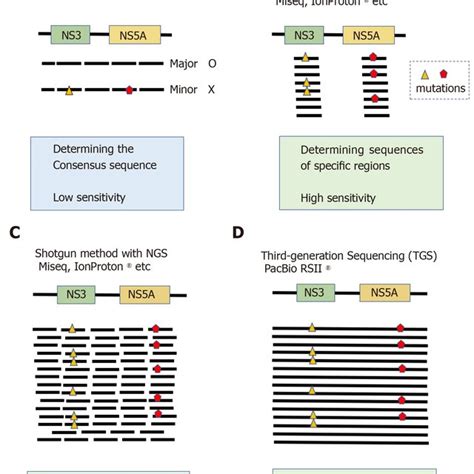 Comparison Of Sequencing Platforms A Direct Sequencing Sanger