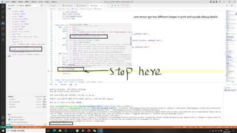Python Pytorch Tensor Shape Bug Issue Microsoft Vscode Github