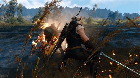 Witcher 3 Combat Screenshots I Took Recently Hd Wallpaper Quality R Witcher 3 Combat Screenshots I Took Recently Hd Wallpaper Quality R