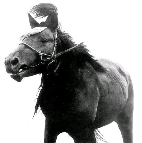 Эвгүй үед гардаг золиг вэ Удам сайтай хурдан хүлгүүд Facebook