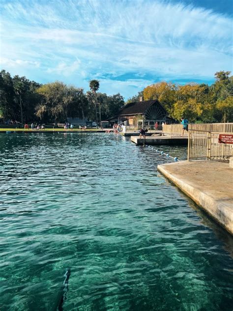 Tips For Visiting De Leon Springs State Park In 2025 The Florida