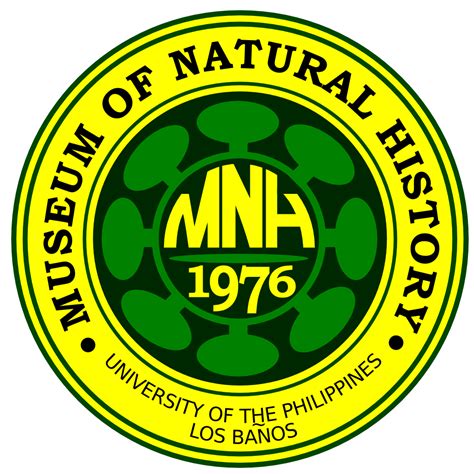 Uplb Museum Of Natural History In Memoriam 29 Kapok Trees Makiling