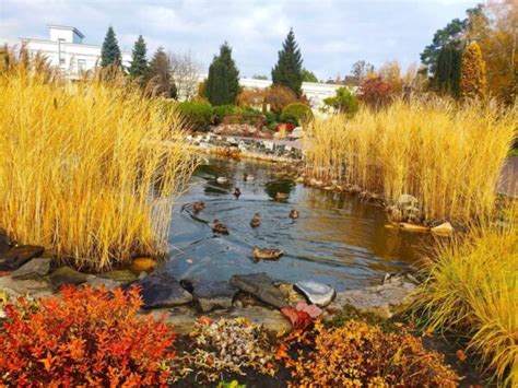 Любовний гороскоп на тиждень з 1 по 7 листопада Початок листопада загрожує не тільки щасливими