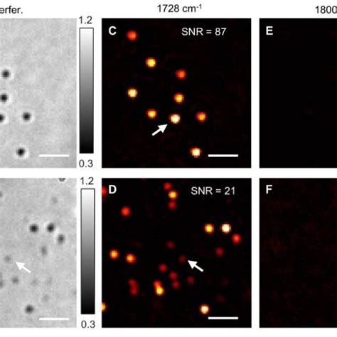 High Throughput Wide Mip Detection Of Nanoparticles Defocused Download Scientific Diagram