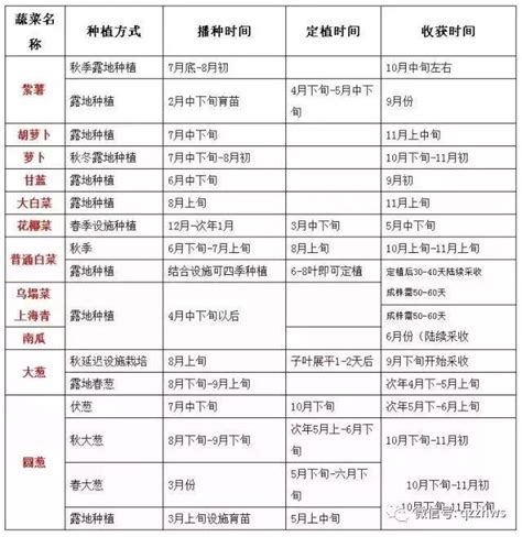 大棚蔬菜高效種植時間表從此種菜不求人 每日頭條