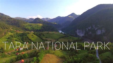 Nacionalni Park Tara Turizaminfo
