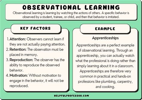 Enhance Your Life With Effective Observation Skills Examples