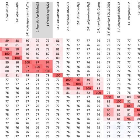 Heatmap Matrix Of Average Nucleotide Identity Ani Comparisons In
