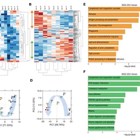 Unsupervised Hierarchical Clustering And Principal Component Analysis