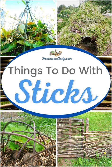 What to Do With Sticks in the Yard • Homestead Lady