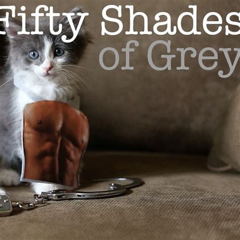 The Best Fifty Shades Parodies — From Frozen To Kittens Fifty Shades