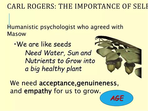 Humanistic Perspectiveppt