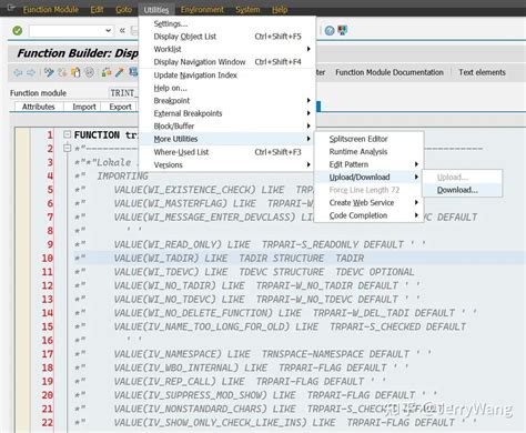 Sapgui 里 Abap 代码导出成 Pdf 格式的隐藏小技巧 知乎