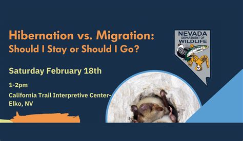 Hibernation Vs Migration Should I Stay Or Should I Go California Trail Interpretive Center