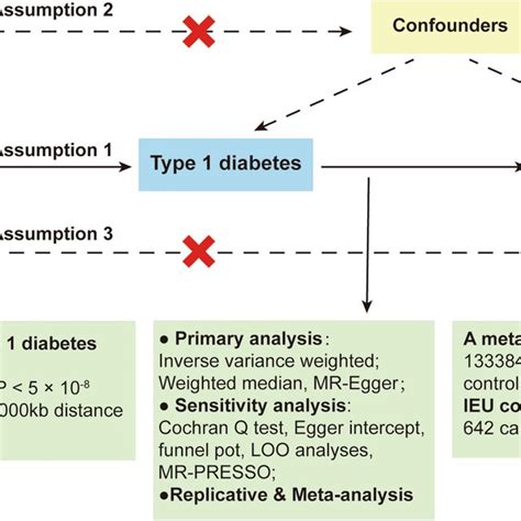 Workflow Of The Current Mendelian Randomization Mr Study Revealing