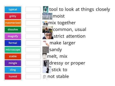 Unit 5 Week 12 Match Up