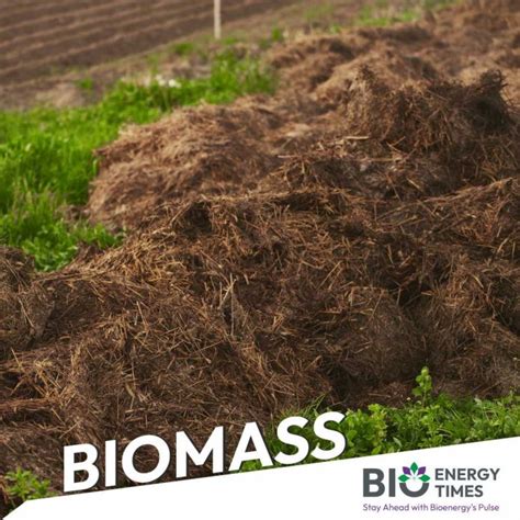 New Biomass Based Resin Developed For Recyclable Wind Turbine Blades Bioenergytimes