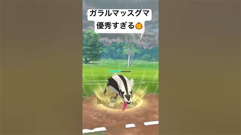 『ポケモンgo』ガラルマッスグマの技が優秀すぎぃ【ハロウィンカップ】pokemon Pokemongo Gbl ゲーム ゲーム実況
