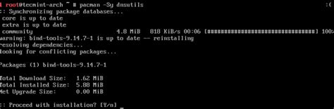 How To Install And Use Dig And Nslookup Commands In Linux
