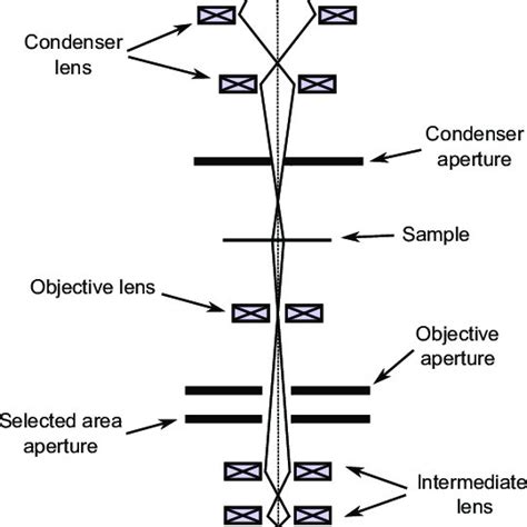 4 transmission electron microscope schematic diagram download scientific diagram