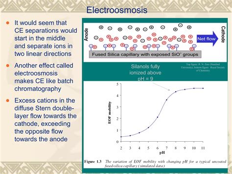Capillary Electrophoresis Final Ppt Ppt