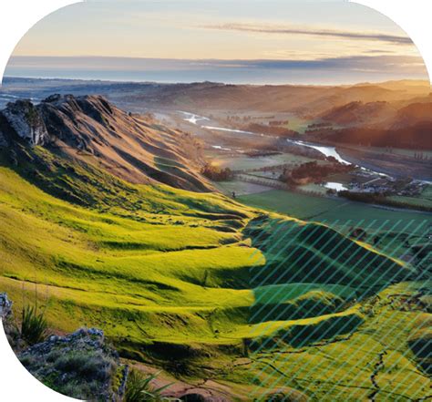 Fast Approval Horse Float Finance Nz Horse Trailer Loans