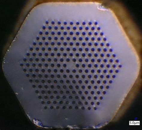 PCF Made By UMCS Lublin Used In The Experiments Download Scientific Diagram