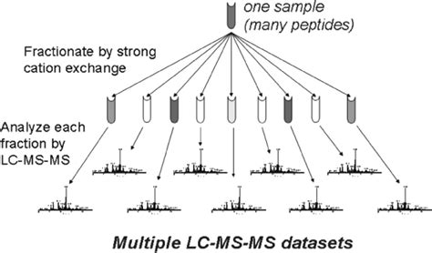 Multidimensional Liquid Chromatography Coupled To Mass Spectrometry Download Scientific Diagram