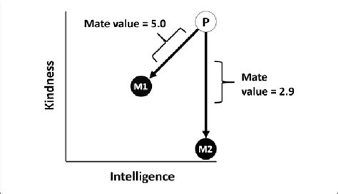 A Two Dimensional Representation Of Mate Preference Integration