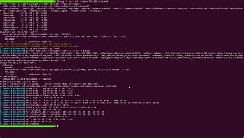 Ubuntu Opencv Videowriter Using Ffmpeg With “could Not Open Codec