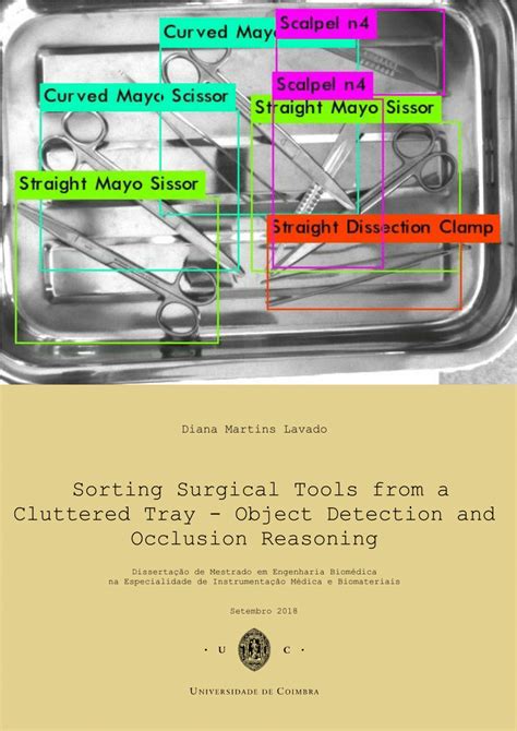 PDF Sorting Surgical Tools From A Clustered Tray Object Detection