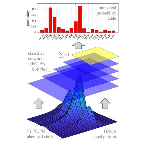 File Network Structure Png Spinach Documentation Wiki