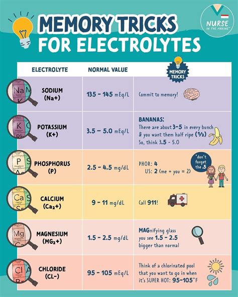 Mastering Electrolytes For Nursing School