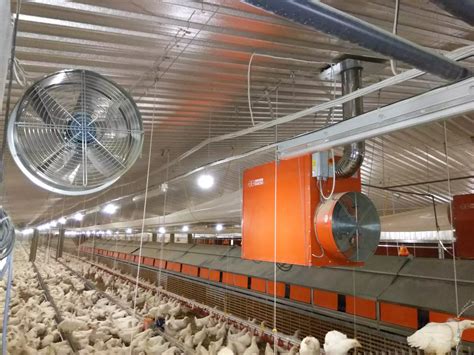 Poultry Ventilation Systems Pericoli