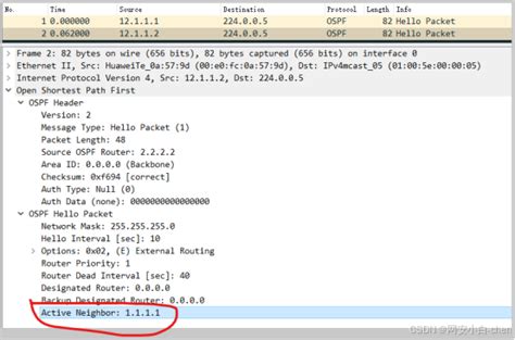 华为：wireshark的ospf抓包分析过程ospf抓包过程 Csdn博客
