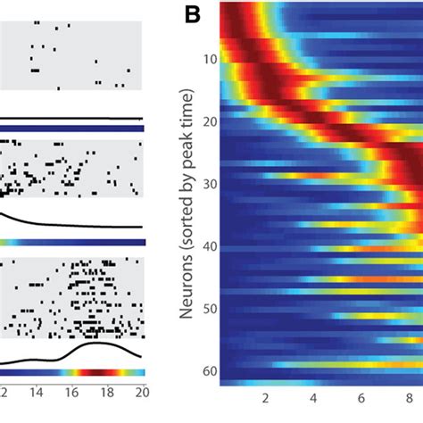 time cell firing patterns in ca1 and ca3 during treadmill running in download scientific