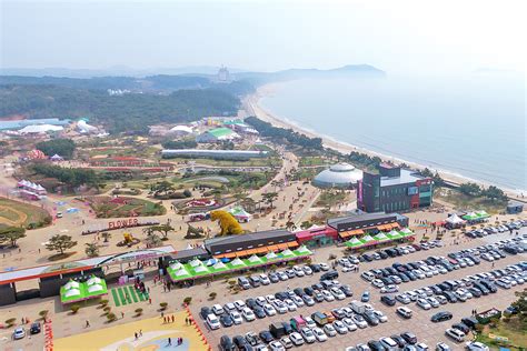 태안튤립꽃박람회 안면도여행 안면도수산시장