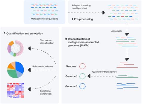 Metagenomics — A Unique View Into The Unculturable Microbial Communities By Siddharth Uppal